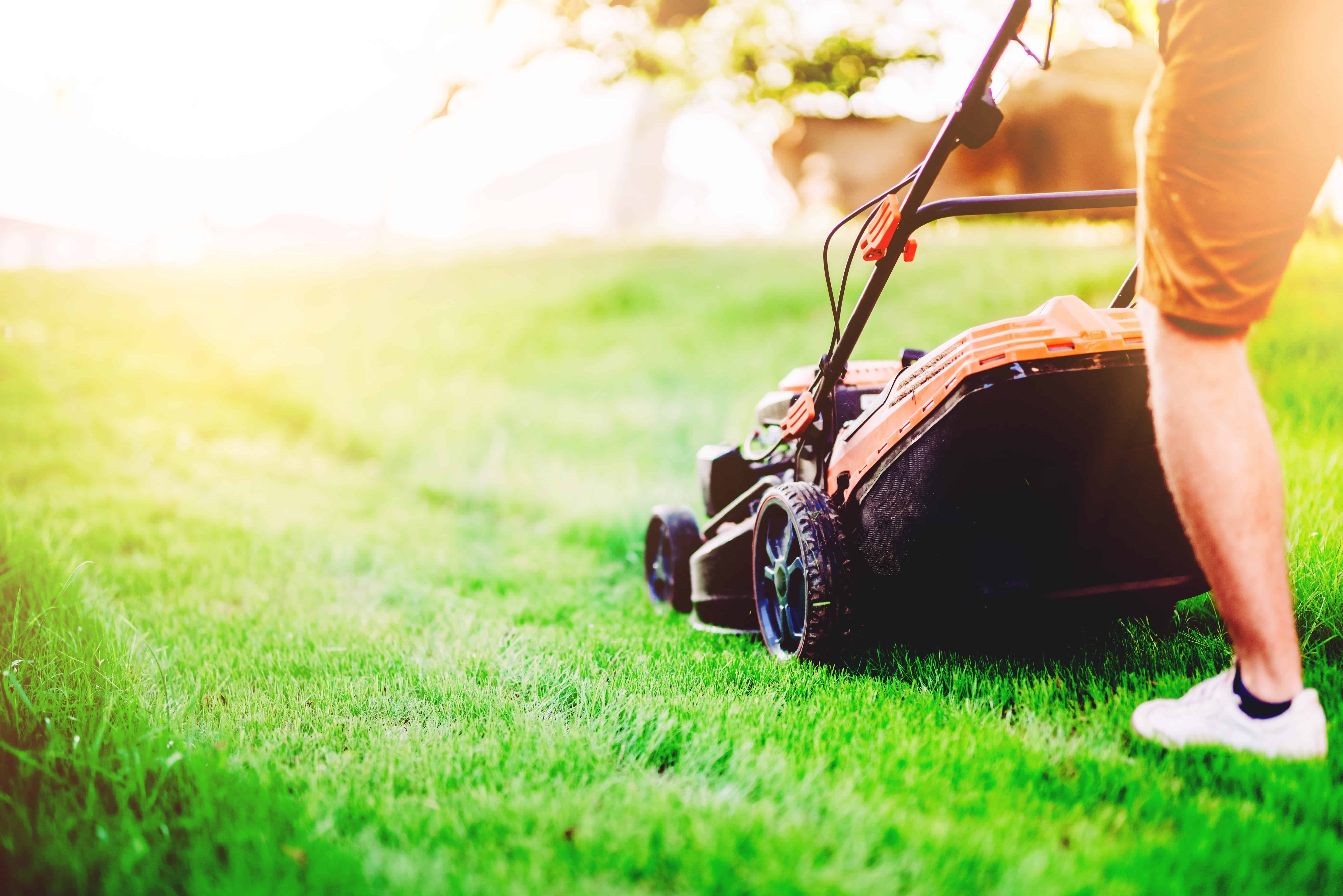 Spring Lawn Care Tips: A Healthy Start to the Season - Vande Hey ...